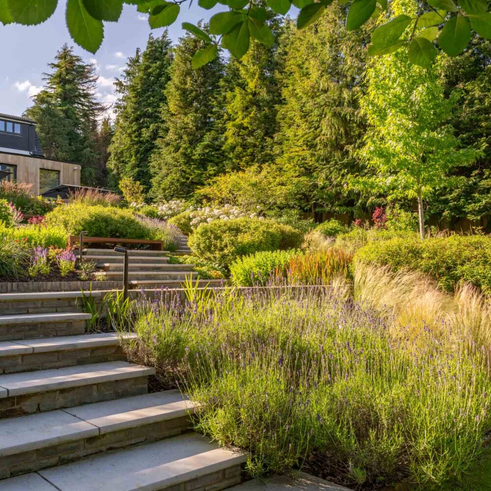 Discover our stunning portfolio of landscape design projects